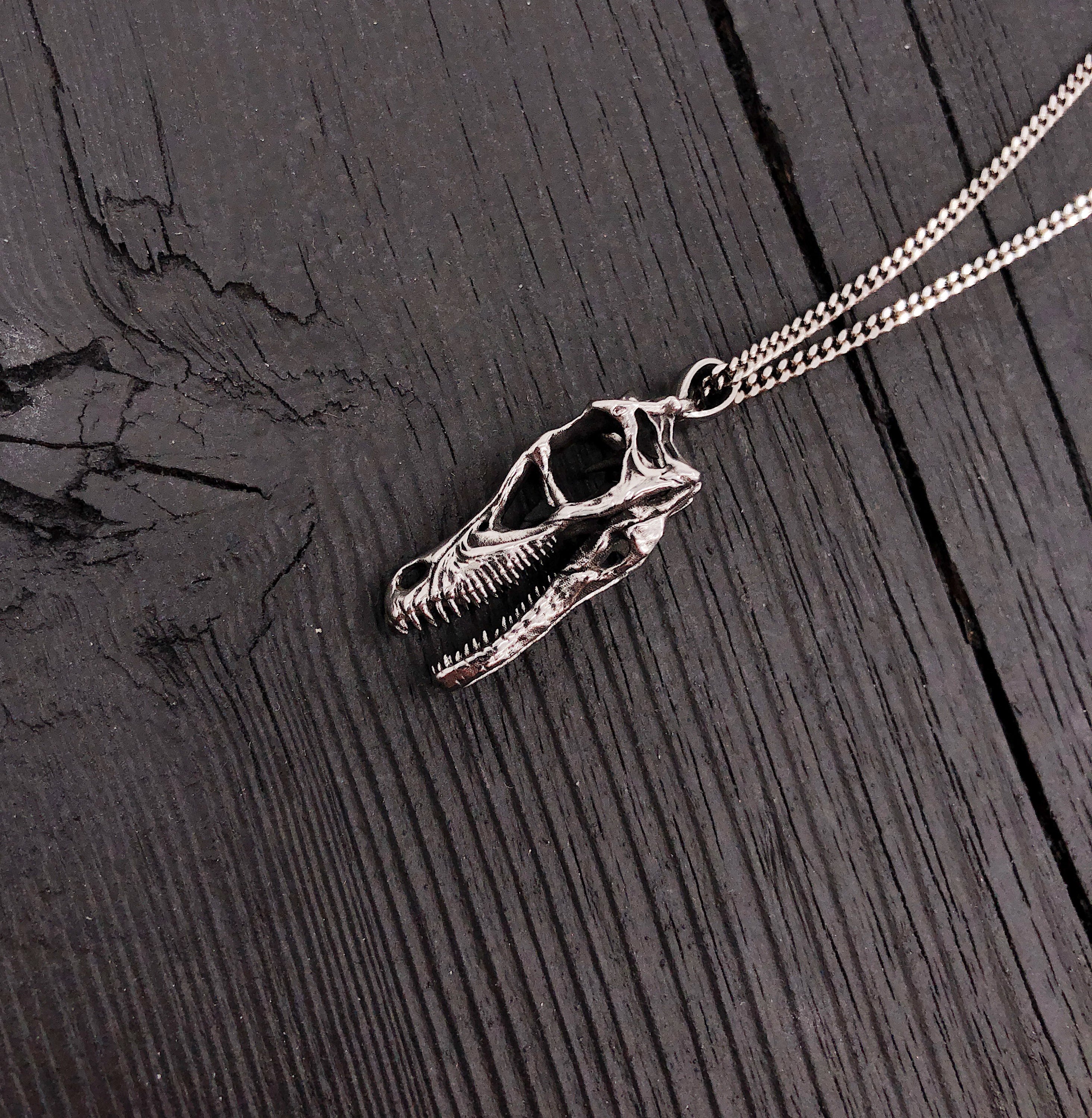 Velociraptor Dinosaur Skull Necklace Stainless Steel – Moon Raven Designs